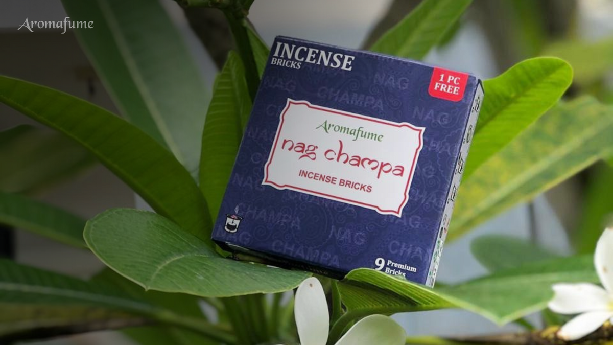Nag Champa vs Other Incense USA | Unique Scent & Tradition — Aromafume ...