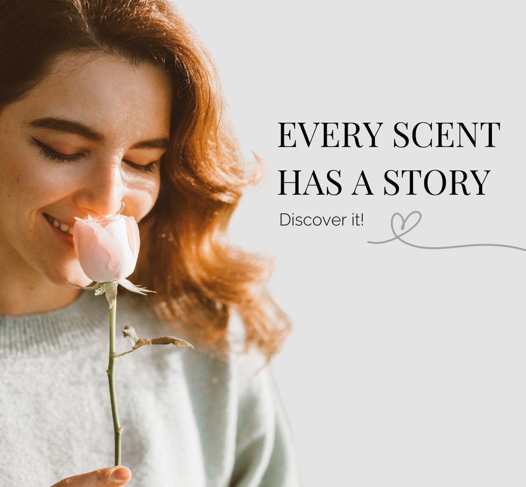 Learn about scent — Aromafume - USA